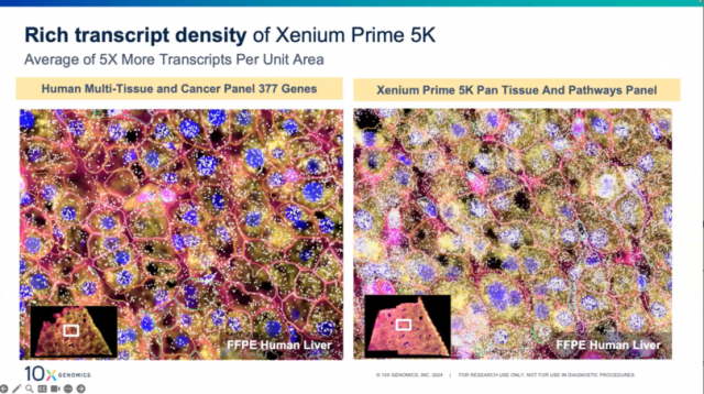 Xenium In Situの詳細情報 | KOTAIバイオ受託サービス