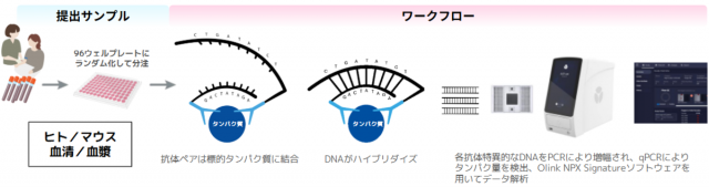Olink® Target 48 及びOlink® Target 96 | KOTAIバイオ受託サービス