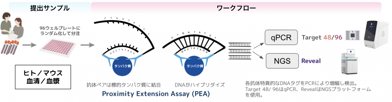 Olink® Target 48/96 及びOlink® Reveal | KOTAIバイオ受託サービス